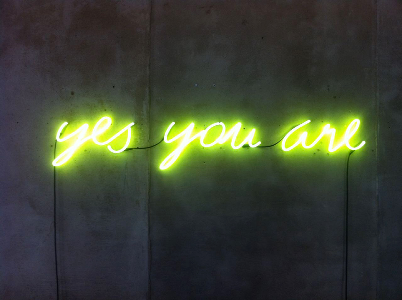 Yes You Are, 2014 - De Buck Gallery : De Buck Gallery